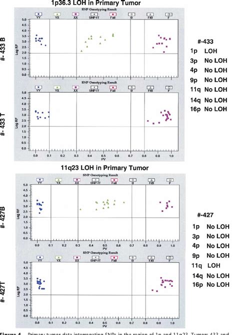 Figure 4 From Region Specific Detection Of Neuroblastoma Loss Of