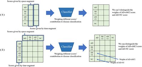 Frontiers Spatial Temporal Data Augmentation Based Functional Brain