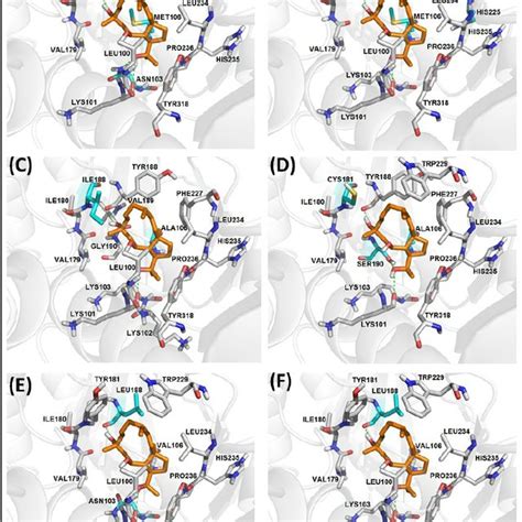 Molecular Docking Of Thd On Nnibp Of Hiv 1 Rt Mutants A Rt 1 B