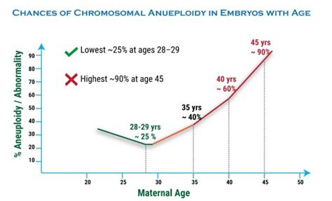 Types Of Genetic Abnormalities In Embryos