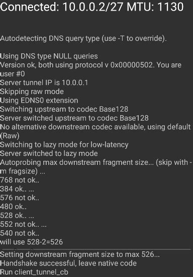 [solved] configuring ip over dns with iodine 9to5answer