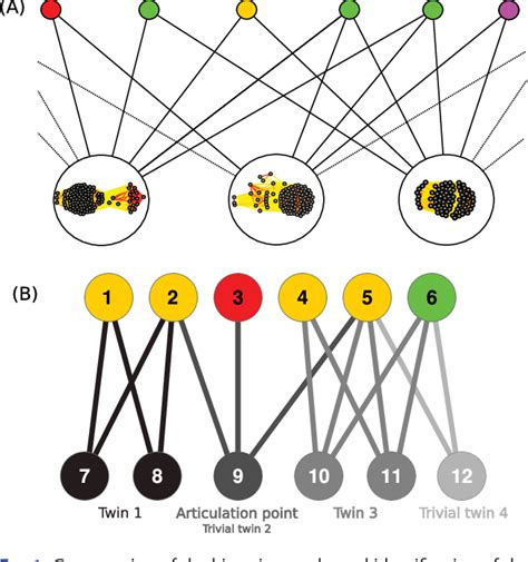 [pdf] Bipartite Network Analysis Of Gene Sharings In The Microbial