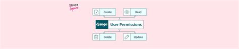 user permissions in django scaler topics