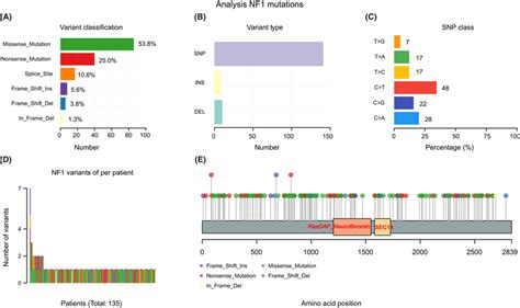 Distribution Of All Detected 160 Nf1 Mutant Types In Our Cohort Of 135