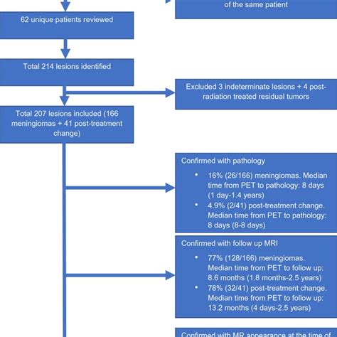 Flow Chart Of The Included Subjects And Lesions As Confirmed By Each