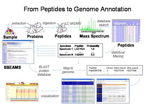 Considerations For Constructing A Protein Sequence Database 60 Off