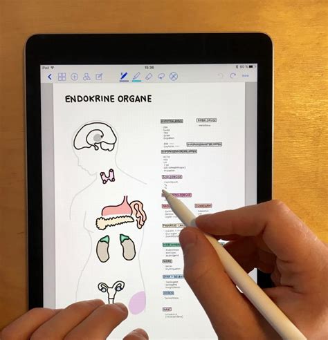 7 best note taking apps for ios that makes taking notes easier