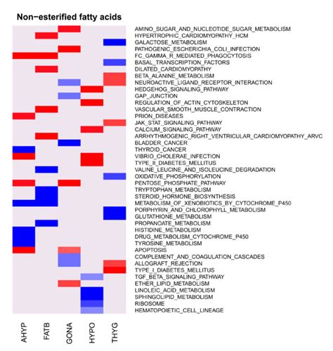 Heat Map Of Kegg Pathways Enrichment Scores For Non Esterified Fatty
