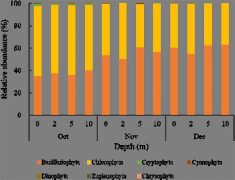 Phytoplankton Communitys Temporal Spatial Variation At A Phylum Level