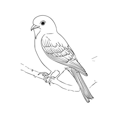 Premium Vector This Is A Clean Eyecatchy Professional Design Suitable