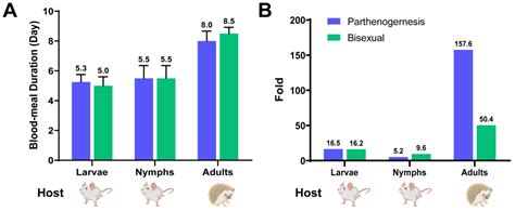 Comparative Analysis Of Bisexual And Parthenogenetic Populations In