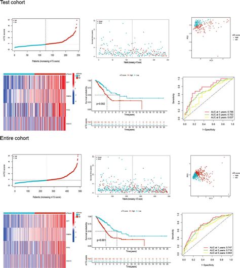 M 7 G Related Signature Validation In Tcga Test Cohort And Tcga Entire