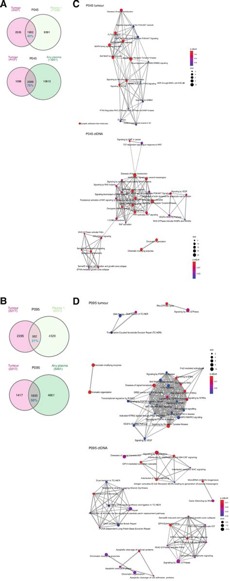Comparison Between Somatic Mutations In Tumour And Matched Plasma From
