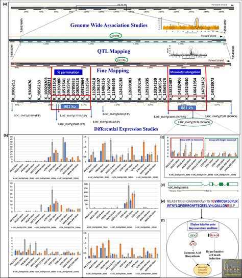 A The Combined Approaches Involving Genome Wide Association Mapping