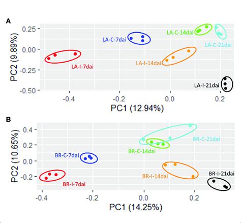 principal component analysis pca plots for rna seq data in each