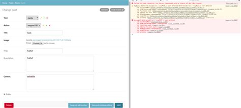 python django tinymc failed to load in admin panel stack overflow
