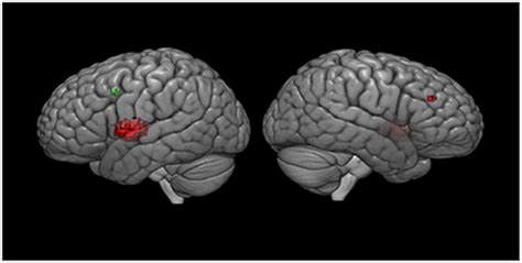 Frontiers Neural Correlates Of Verbal Working Memory An Fmri Meta