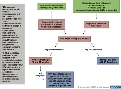 2019 Asccp Risk Based Management Consensus Guidelines Updat