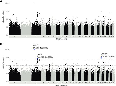 Both Manhattan Plots Show −log10 P Value Of The Genome Wide