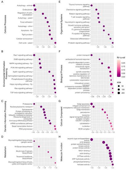 Ijms Free Full Text Time Series Transcriptomic Analysis Reveals The