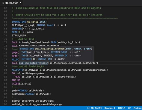 shiguang vscode fortran ls
