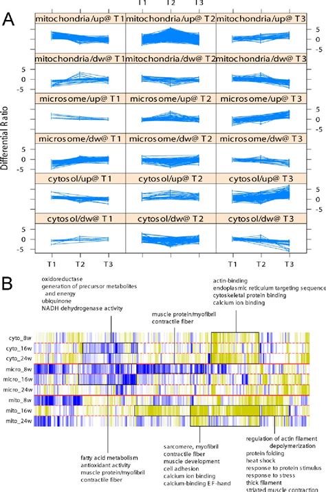 Figure 1 From Significance Analysis Of Spectral Count Data In Label