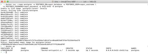using fluent and persisting models in vapor