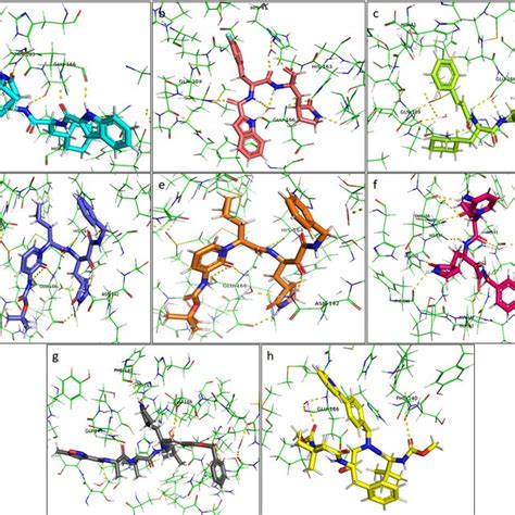 3d Binding Mode Of Best Posed Main Protease Inhibitors Hydrogen Bonds
