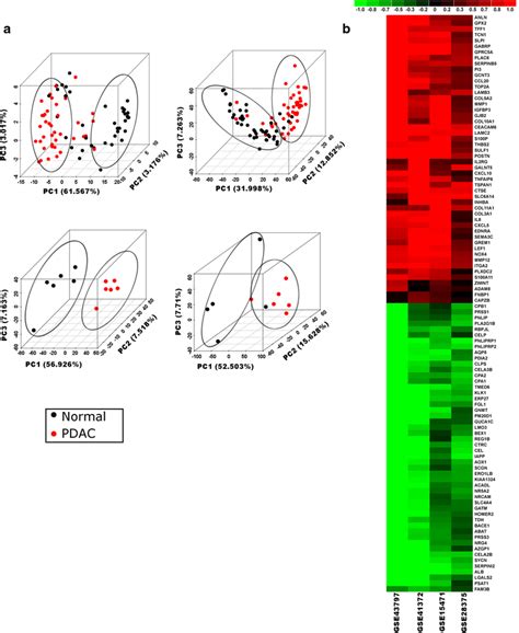 Meta Analysis Of Pancreatic Ductal Adenocarcinoma Pdac Transcriptome