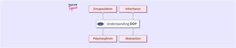 understanding oop in php scaler topics