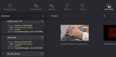 how to set up davinci resolve database servers