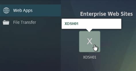 rdp proxy citrix gateway 13 1