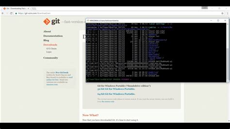 git bash dawnload git bash script to run successfully