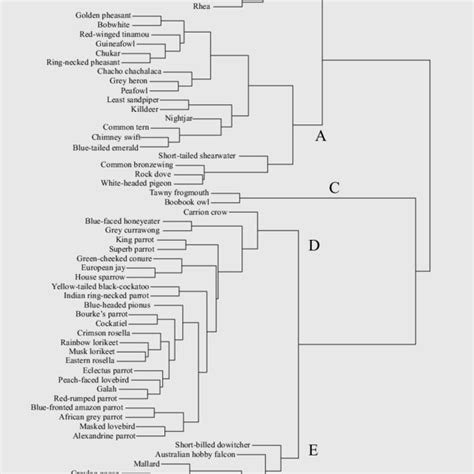 A Dendrogram Resulting From A Upgma Hierarchical Cluster Analysis