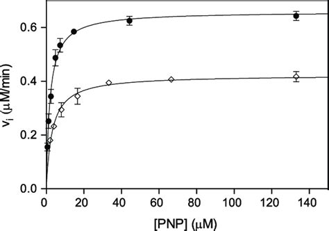 Dependence Of Initial Velocity V I Of Plp Formation On Pnp