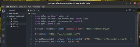 how to find element by text with selenium linux hint