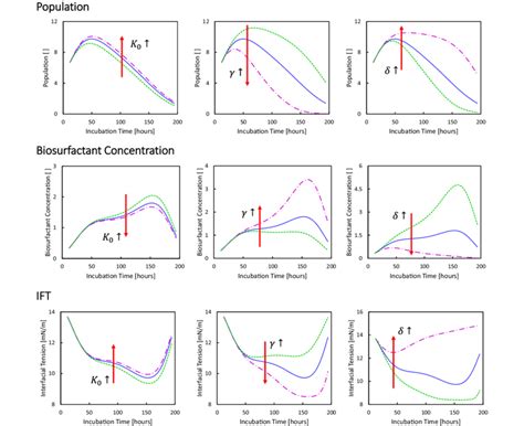 Parameter Sensitivity In Coupled Simultaneous Model The Sensitivity