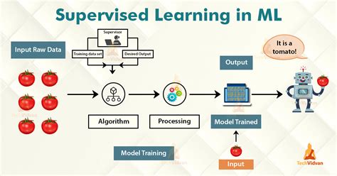 supervised machine learning and its advantages