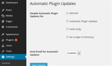 How To Enable Automatic Wordpress Updates For Plugins