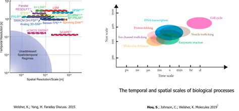 Real Time Single Particle Tracking