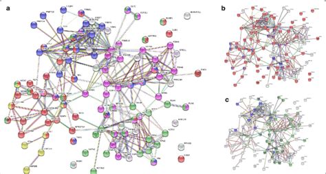 Protein Protein Association Network Of Ds Affinity Enriched Proteins