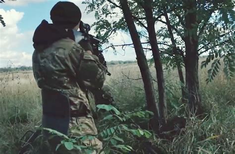 Colt Canada Diemaco C7 Rifles And C8 Carbines In Ukraine The