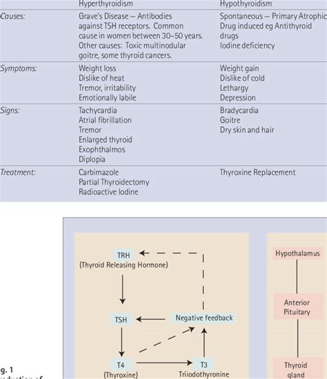 Hyperthyroidism Vs Hypothyroidism Chart