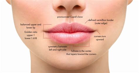 Juvéderm Dermal Filler New York City Dr Philip Miller