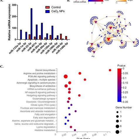Functional Clustering And Signalling Pathway Analysis Of Differentially