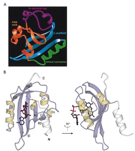 4 A Generalised Pas Domain Structure Divided Into Four Conserved