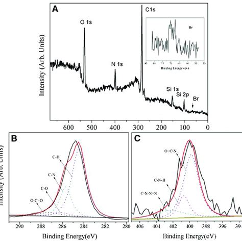 ft ir spectra of sio2 a sio2 nh2 b and sio2 n3 c nanoparticles