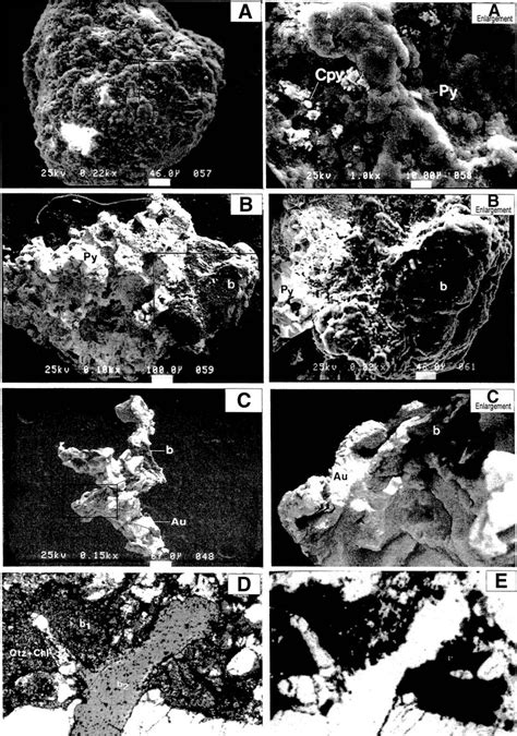 A Sem Scanning Electron Microscope Photomicrograph Of Bitumen