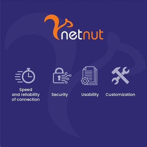 What Is A Dns Proxy A Comprehensive Guide Netnut