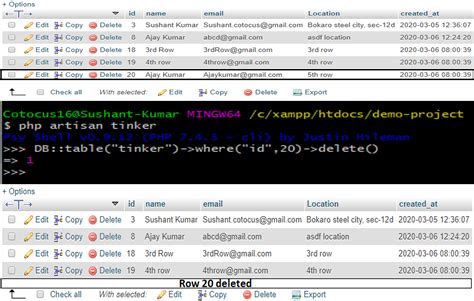 how to update and delete data from database table using tinker